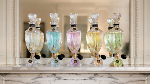 LES FAMILLES DE PARFUMS | L'ABC Du Parfum